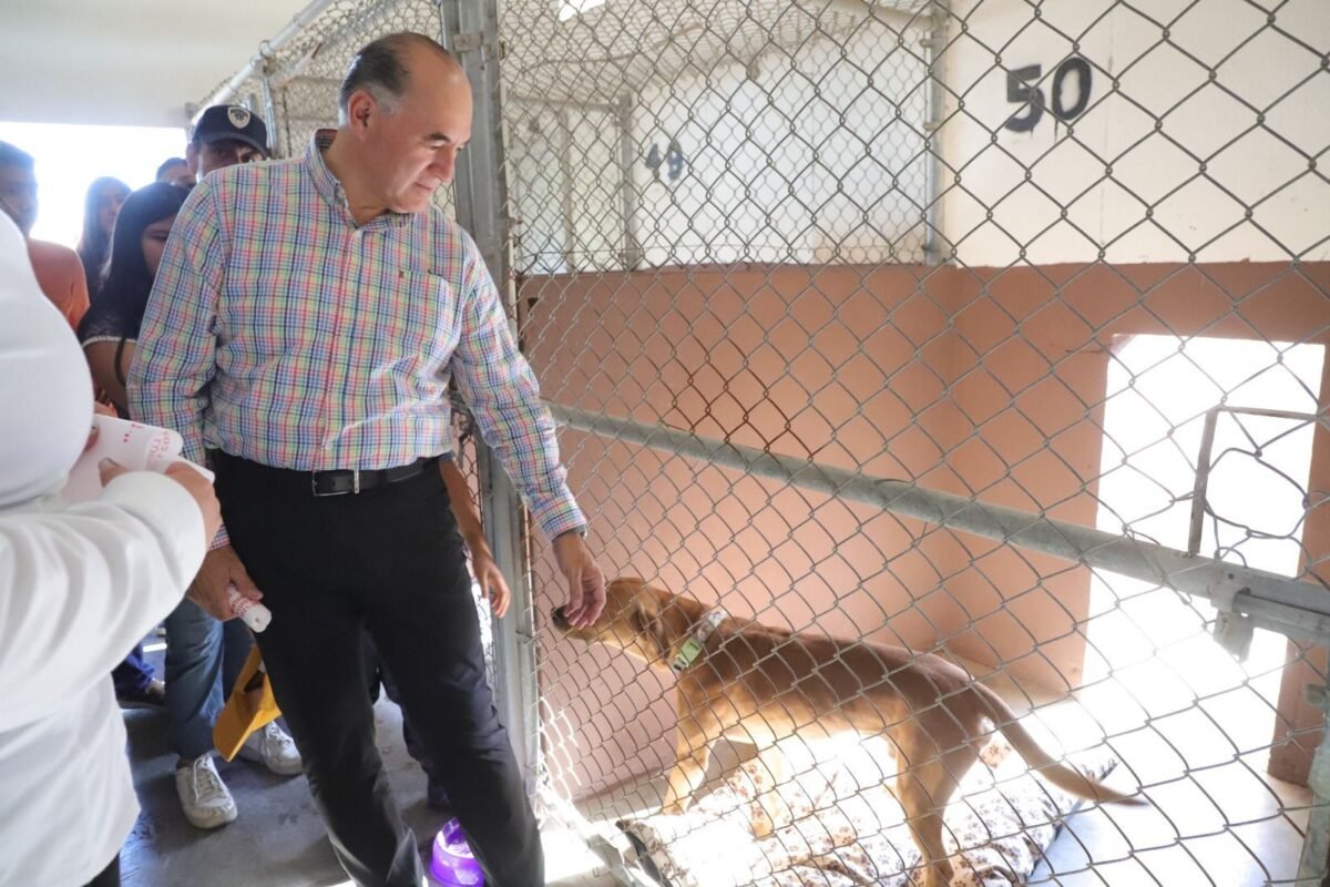 Alcalde Enrique Galindo inaugura el Centro Integral para el Bienestar Animal del Gobierno de la ...