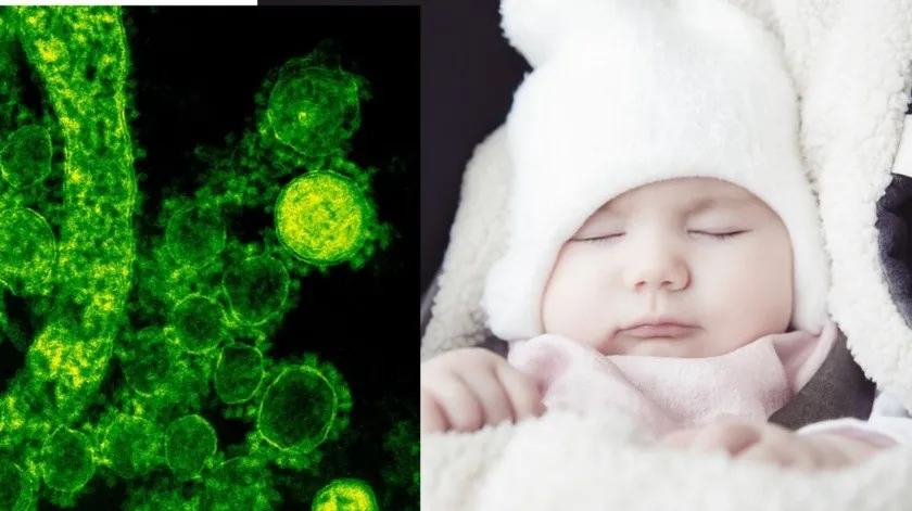 Vsr ¿qué Es El Virus Sincicial Respiratorio Que Pone A México En